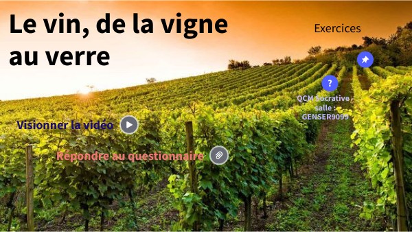 Les vins de la vigne au verre