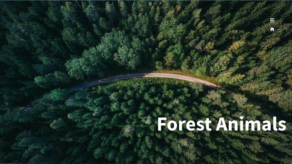 Forest animals | Genially