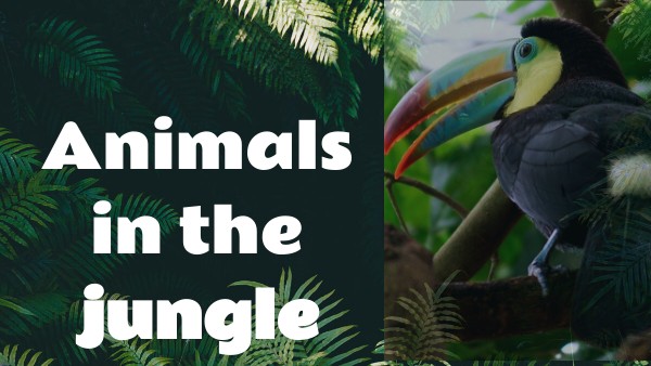 Animals in the jungle | Genially