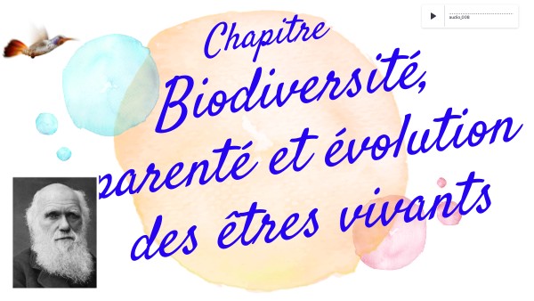 Biodiversité, parenté et évolution | Genially