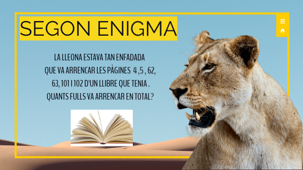 SEGON ENIGMA