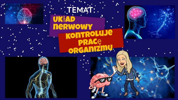 układ nerwowy klasa 4 | Genially