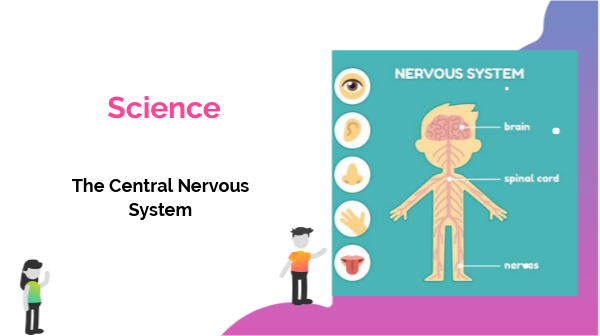 2nd year - science CNS