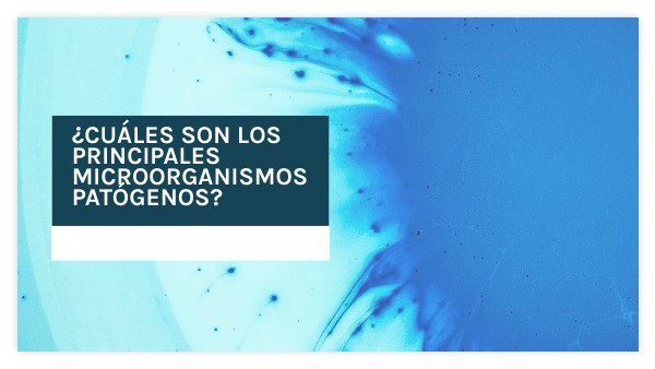 Microorganismos patógenos | Genially