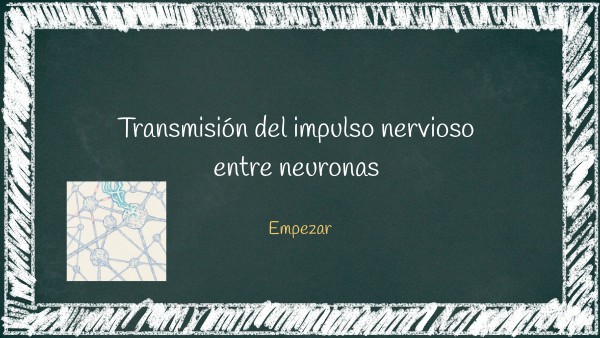 Transmisión del impulso nervioso | Genially