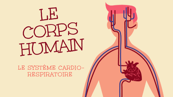 5ème : le fonctionnement de l'appareil cardio-vasculaire | Genially