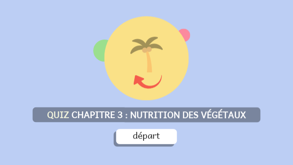 5ème : Quiz révision chapitre 3