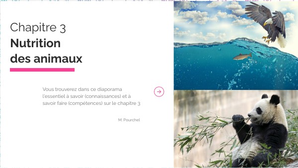 4ème : chapitre 3 | Genially