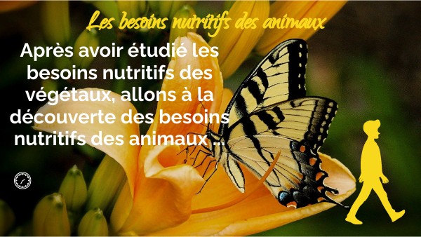Les besoins nutritifs des animaux | Genially