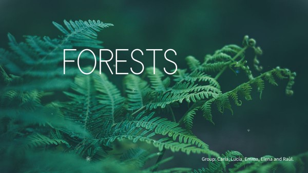 FORESTS | Genially