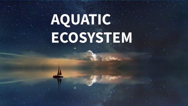 AQUATIC