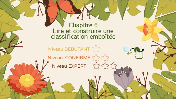 Exercices classification 6eme