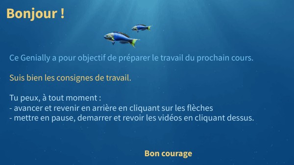 SVT - 5 - Approvisionnement en O2 chez le poisson | Genially