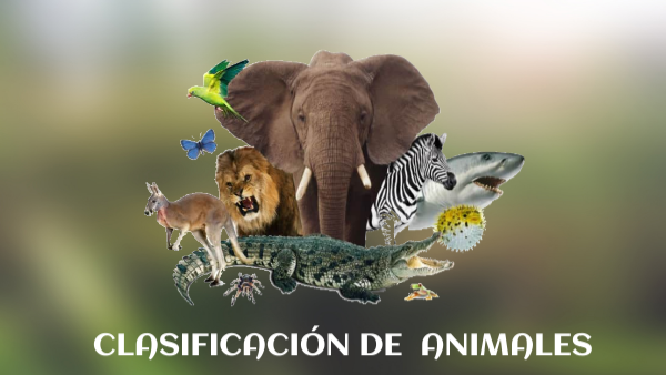 Clasificación Animales | Genially