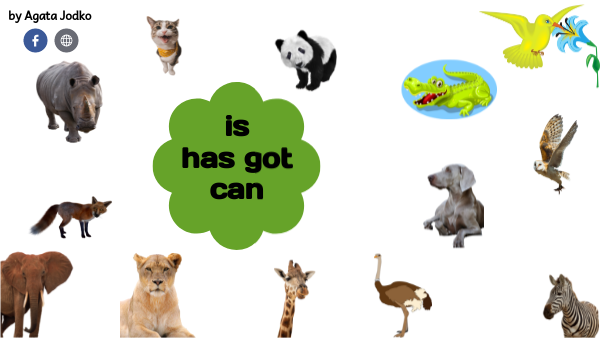 animals be/havegot/can | Genially