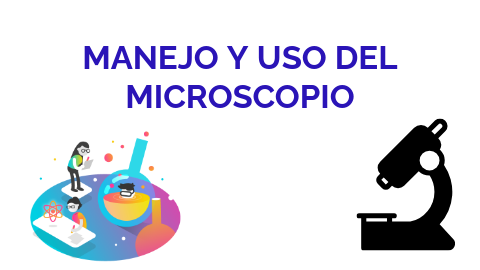 MANEJO Y USO DEL MICROSCOPIO | Genially