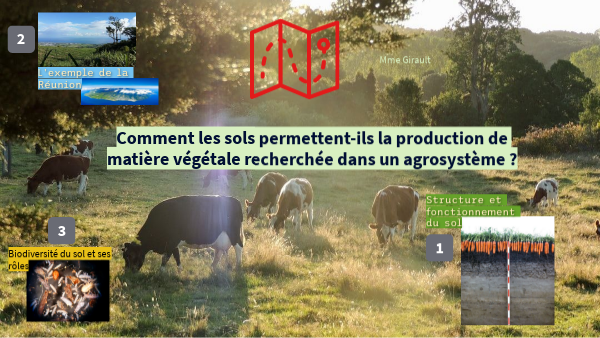 formation du sol et production de biomasse 2nd | Genially