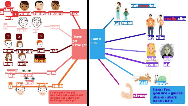 6ème physical description