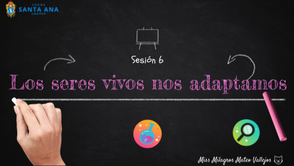 S6 CyT IT | Genially