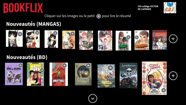 bookflix CDI 11/2021