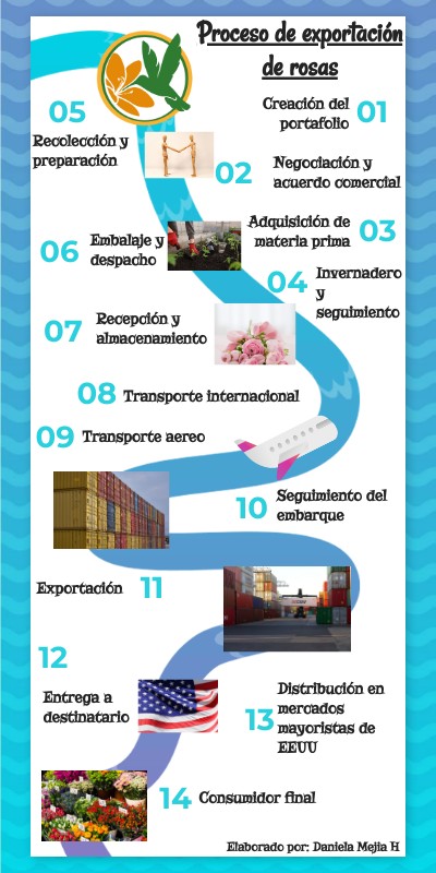 Proceso de exportación Daniela Mejia H