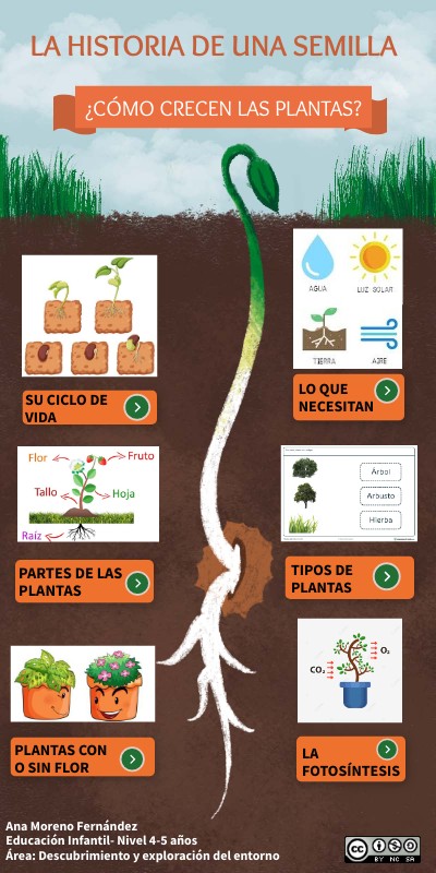 La historia de una semilla | Genially