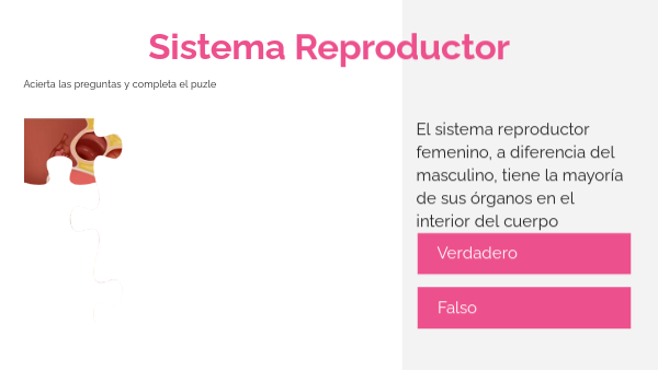 Sistema reproductor | Genially