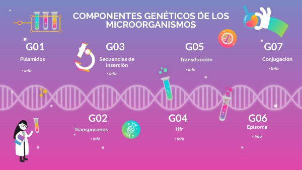 Componentes genéticos de los microorganismos