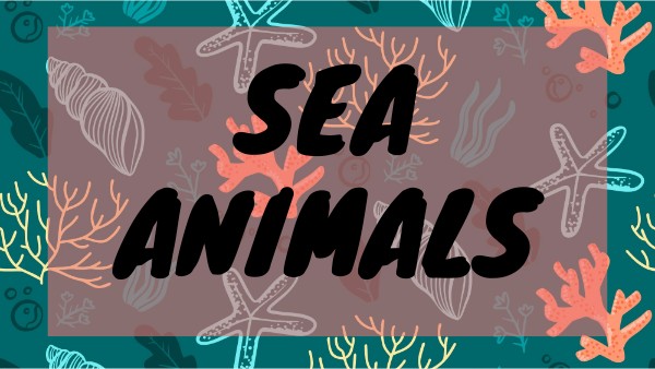 Sea animals | Genially