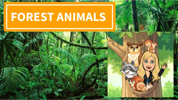 FOREST ANIMALS | Genially