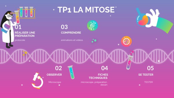 TP1 mitose | Genially