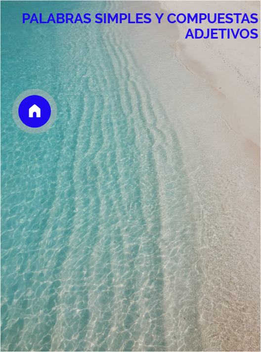 SIMPLES Y COMP.-ADJ.