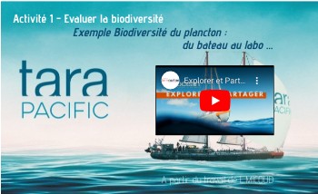 TARA expedition Biodiversité | Genially