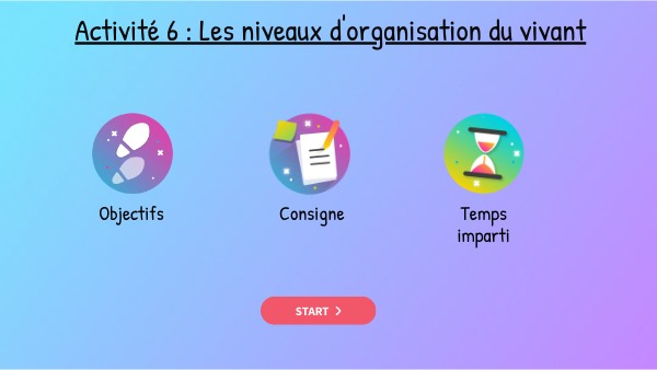 Act 62022 | Genially