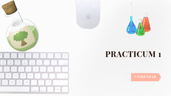 Oct 2021. Practicum 1. Tema 1: Muestreo