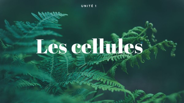Unité 1 cellules