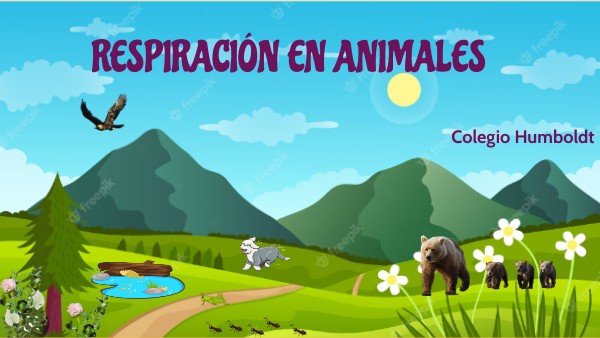 RESPIRACIÓN DE ANIMALES | Genially