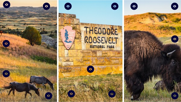 Theodore Roosevelt National Park | Genially