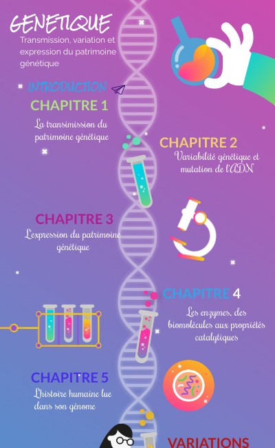 Partie 3- Chapitre 1 génétique révision | Genially