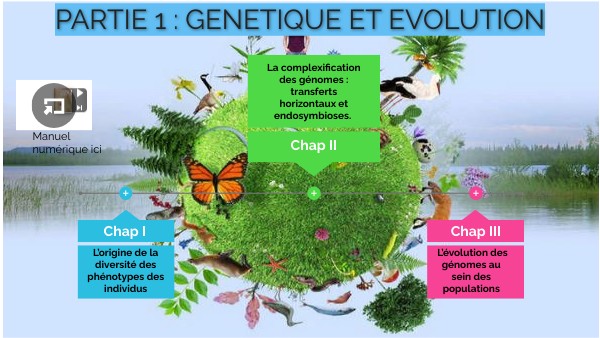 TSpé Génétique et évolution | Genially