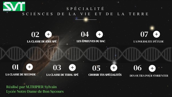 SVT Lycée Bon Secours