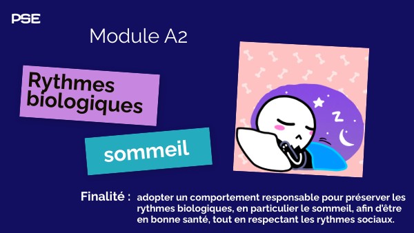 PSE - rythme biologique et sommeil