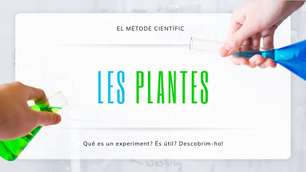 Experimentem amb les plantes | Genially