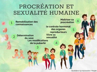 Chapitre 12 : Procréation et sexualité humaine