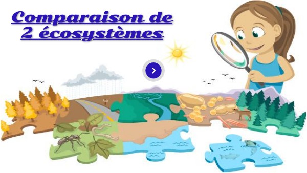 6- Comparaison de 2 écosystèmes | Genially