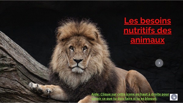 La nutrition animale | Genially