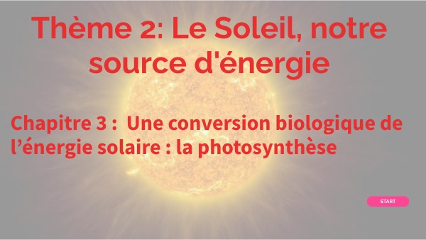 Une conversion biologique de l'énergie solaire: la photosynthèse | Genially