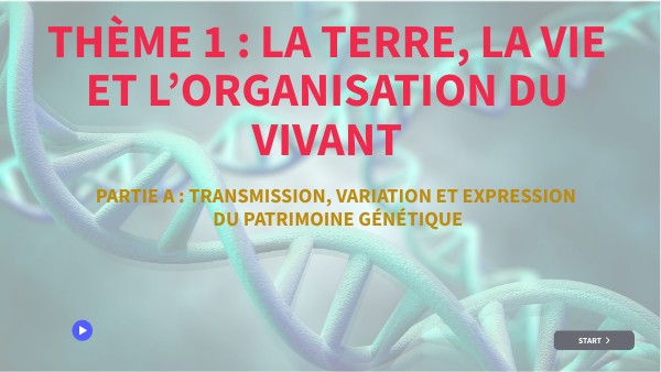 Transmission, variation et expression du patrimoine génétique | Genially