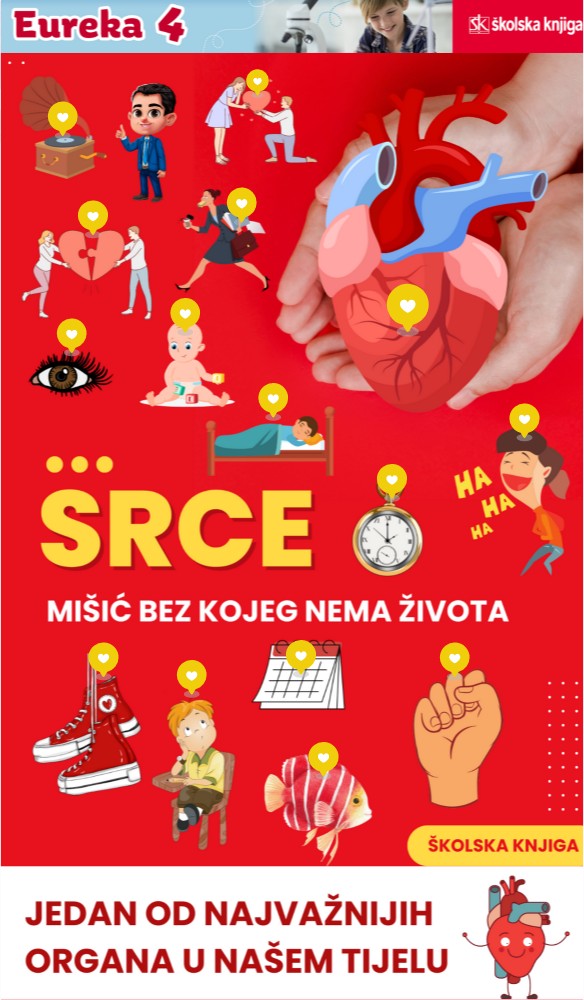 ZANIMLJIVOSTI O SRCU