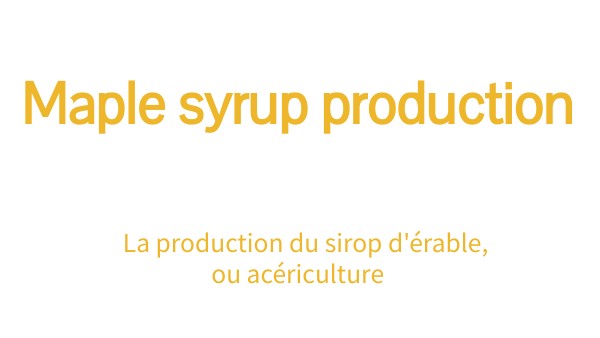 Maple syrup production